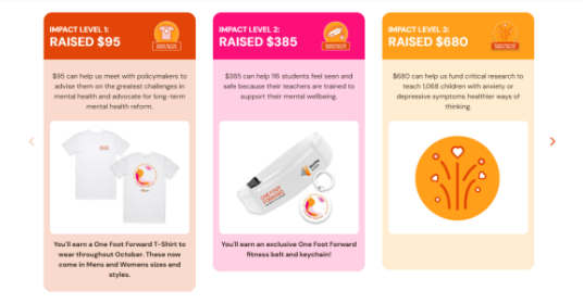 What is different about the 2025 One Foot Forward Merchandise? – One ...